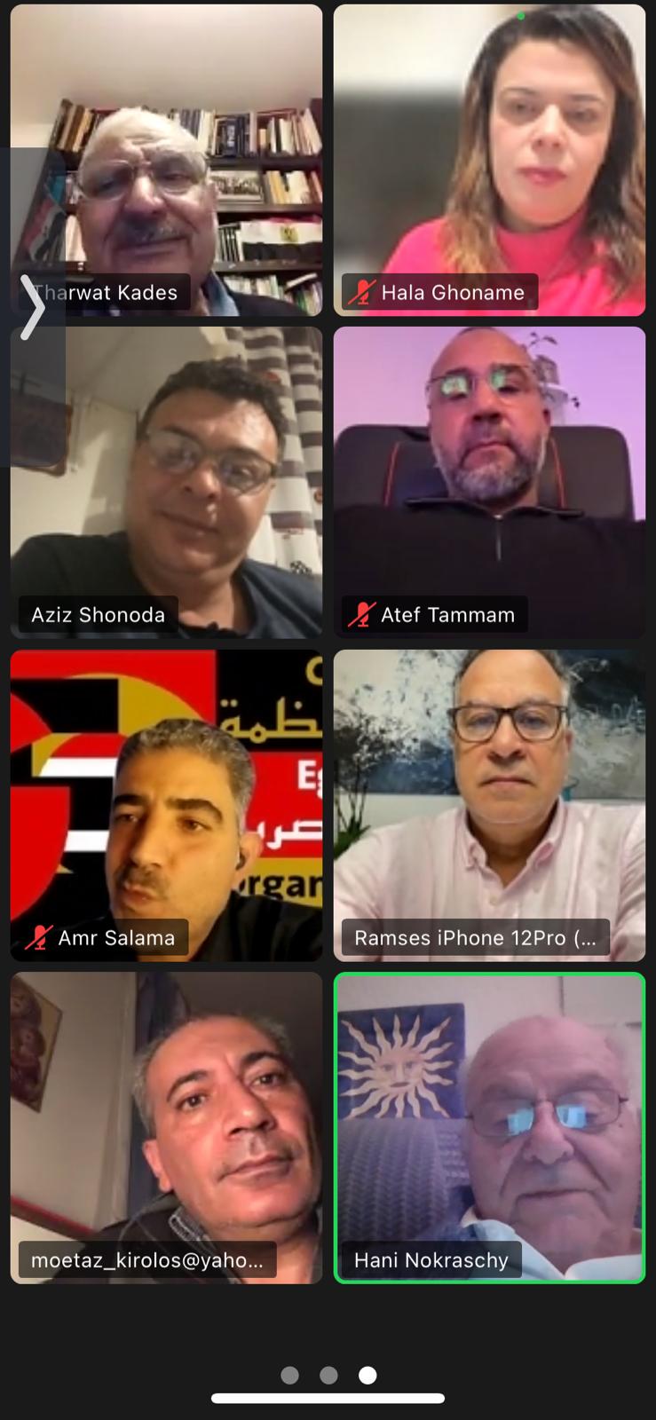 رموز الجالية المصرية بألمانيا يدعمون الأمن القومي المصري والقضية الفلسطينية