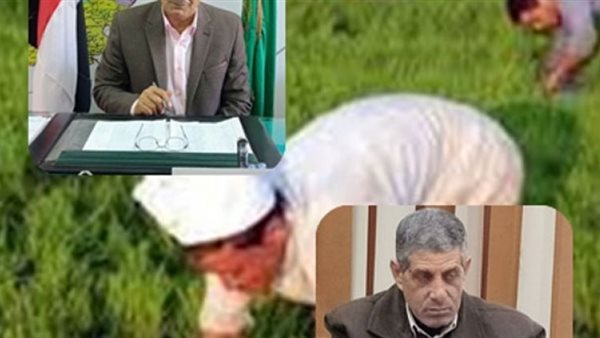 بسبب المخالفة في زراعة الأرز مليار جنية غرامات على الفلاحين بالدقهلية